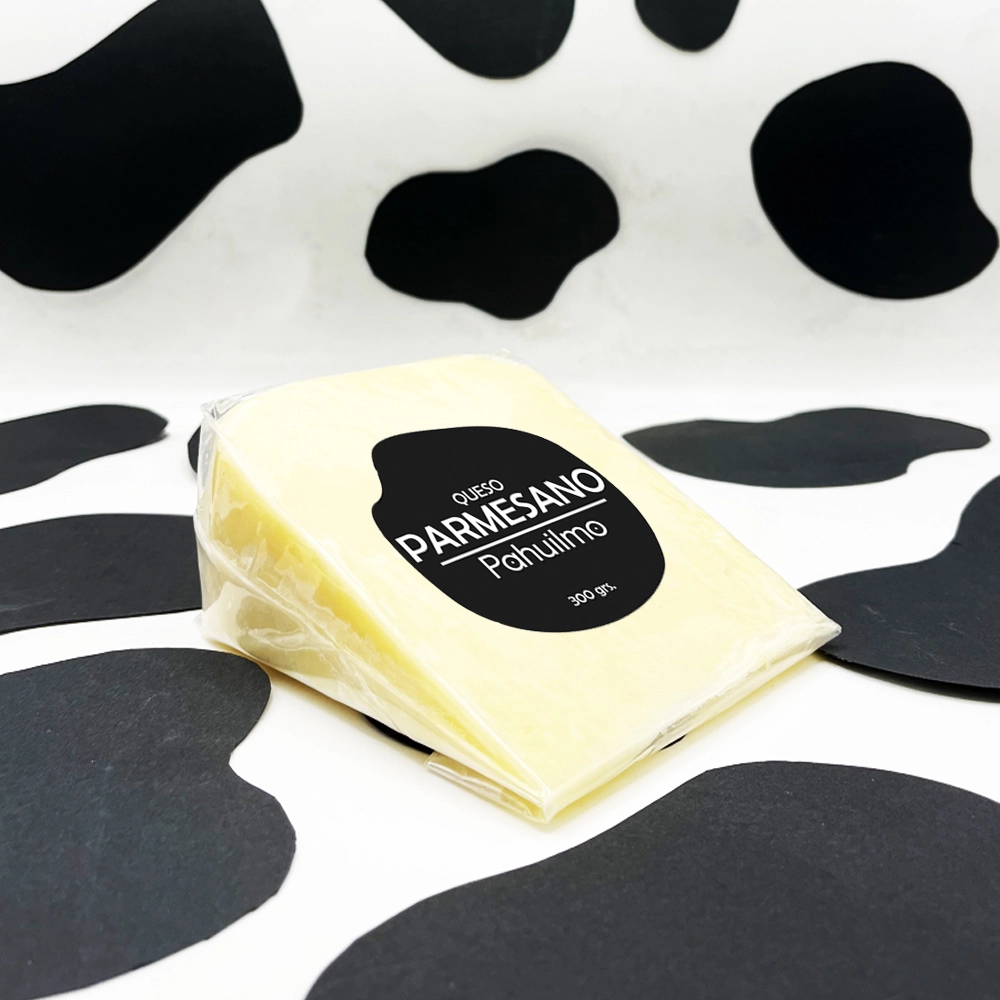 Queso Parmesano valor kilo - Pahuilmo